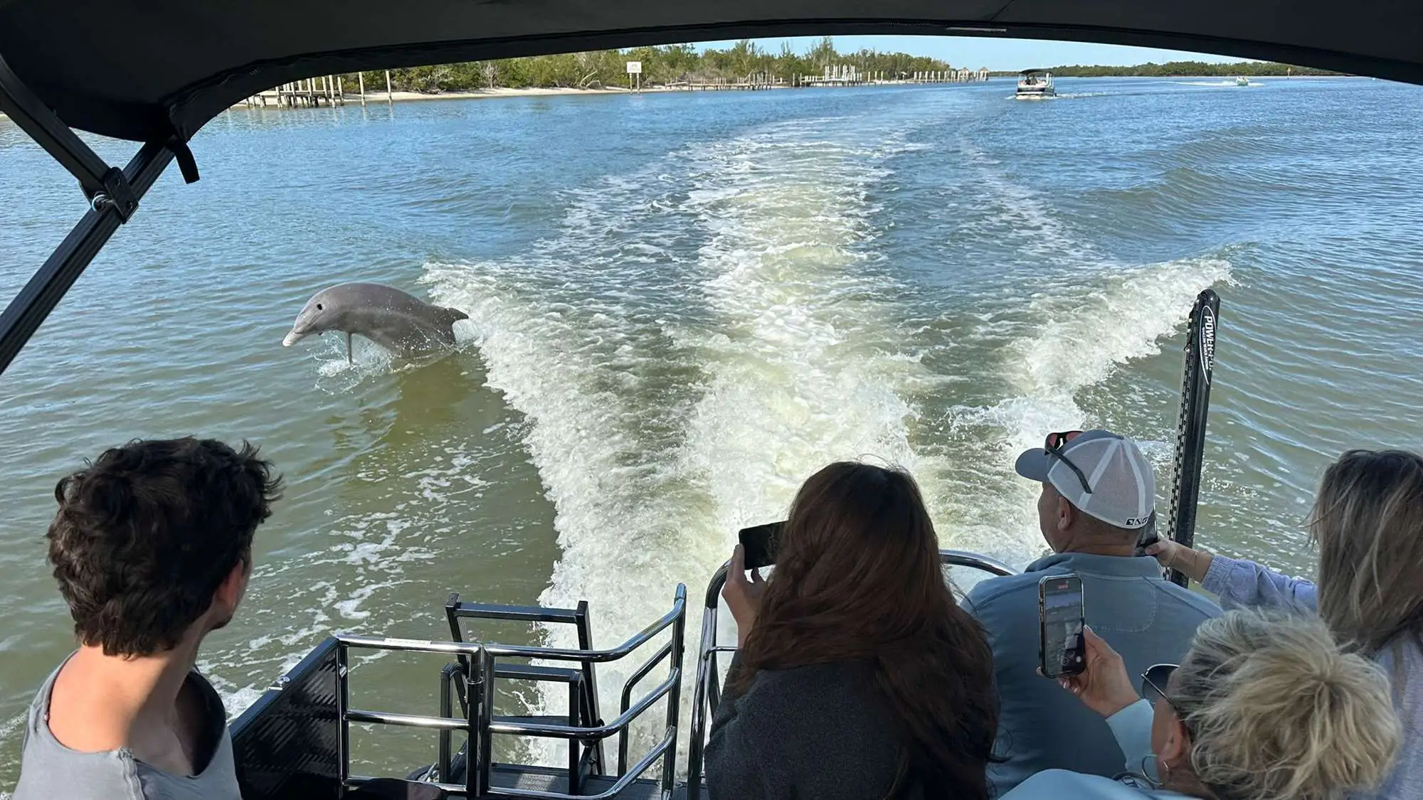 Dolphin and Birdwatching | Gulf Breeze Charters